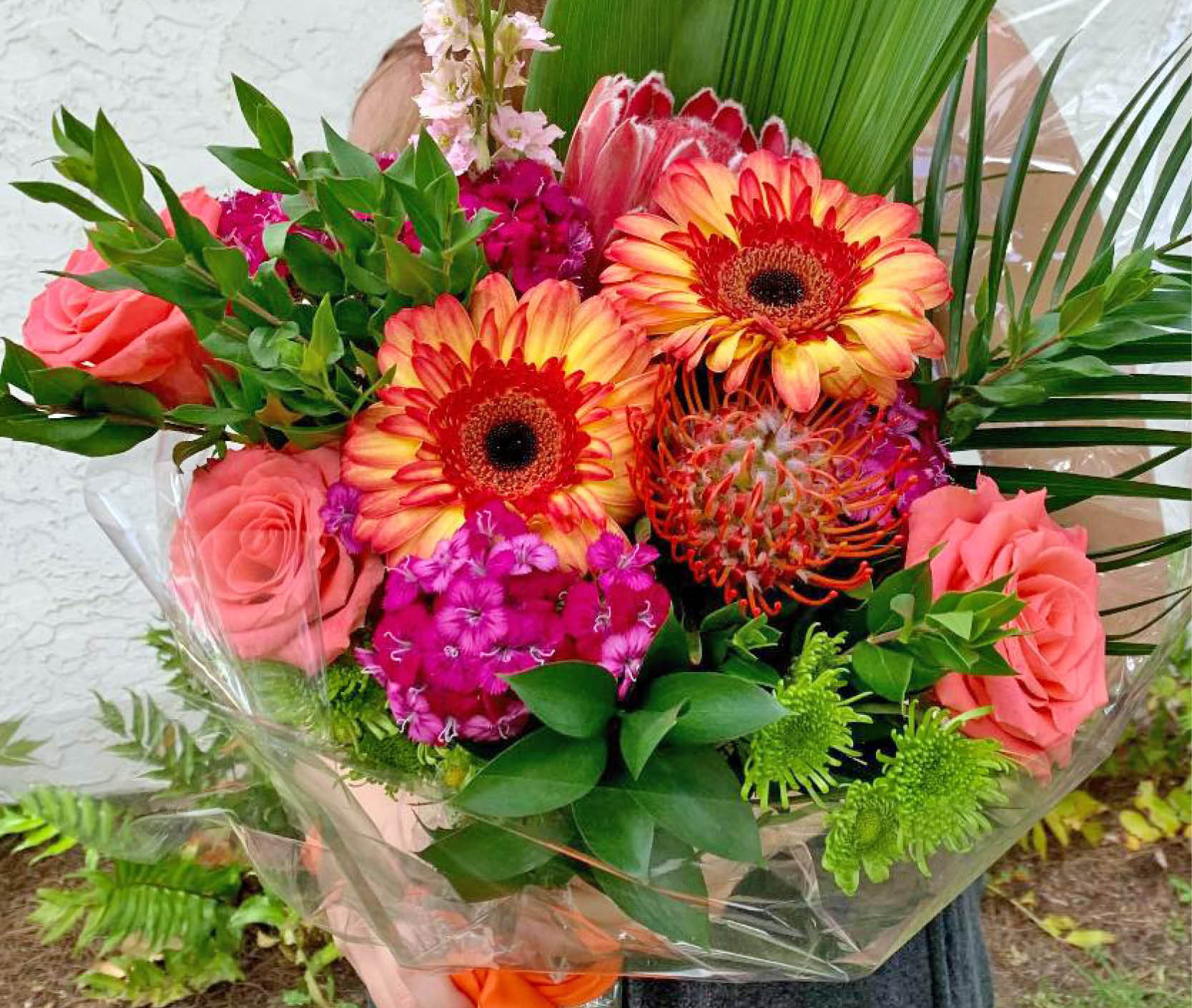 Blooms – Moments In Bloom